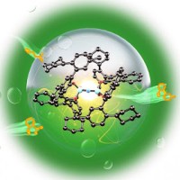 Contact – TSUI RESEARCH GROUP